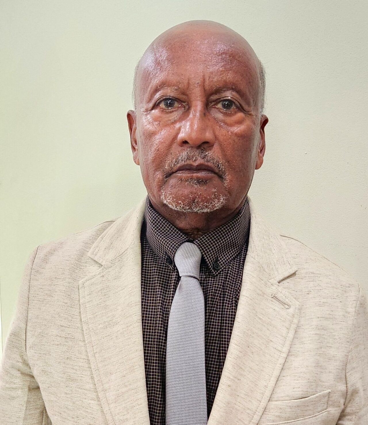 Getachew Metaferia | ethioheritage.org